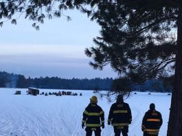 Home Page | The Highlander